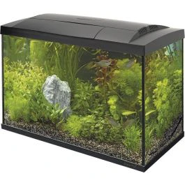 Superfish Start 100 Tropical Kit Zwart Aquarium Superfish