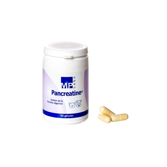 Pancreatine 50Gel - Maag Darmen Diarree Hond MP Labo | Pharmapets_BE