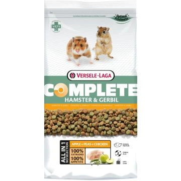 Een hamster adopteren - Ons advies voor alles wat je moet weten over ...