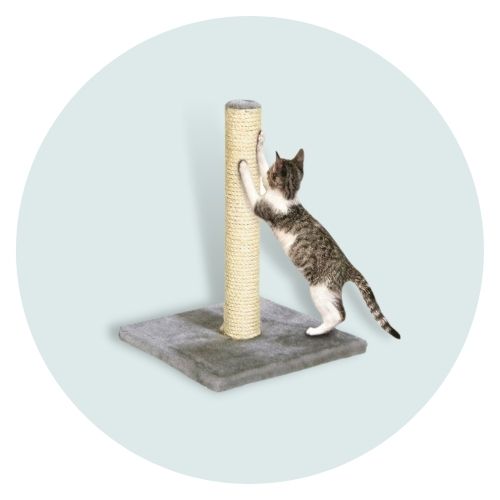 PharmaPets - votre boutique en ligne pour animaux de compagnie avec une ...