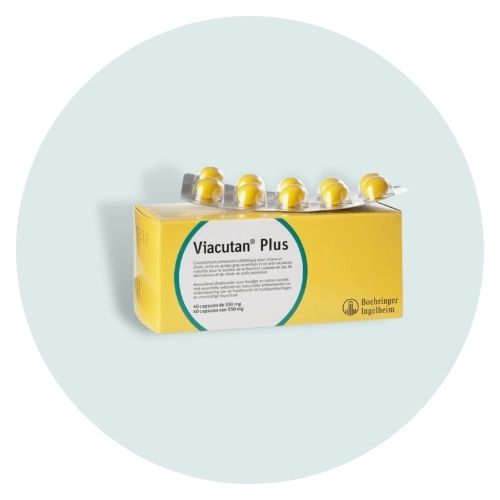 PharmaPets - votre boutique en ligne pour animaux de compagnie avec une ...