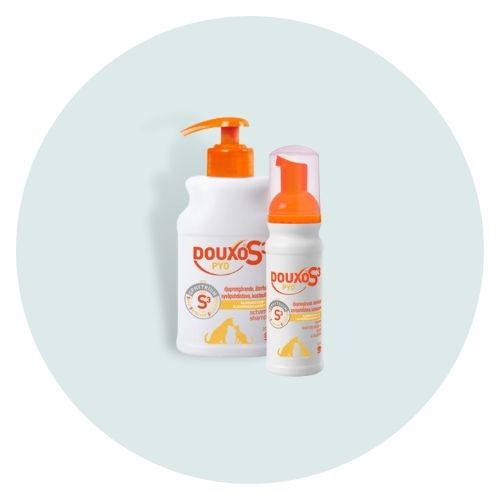 PharmaPets - votre boutique en ligne pour animaux de compagnie avec une ...