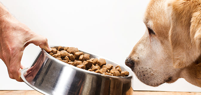 PharmaPets: online dierenwinkel | voeding, accessoires, advies