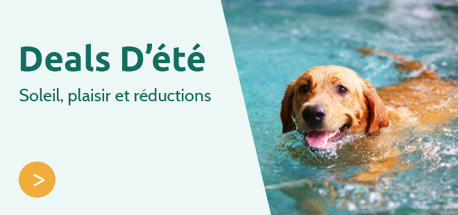 PharmaPets : animalerie en ligne nourriture, accessoires, conseils