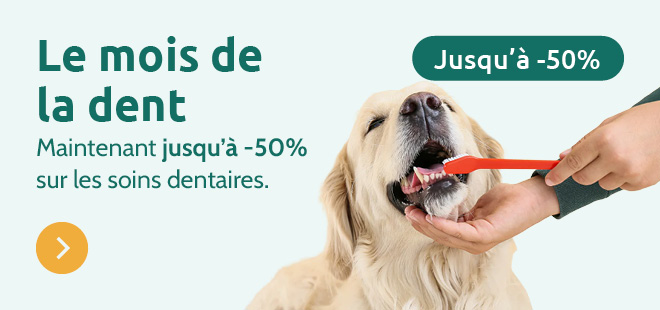 PharmaPets : animalerie en ligne nourriture, accessoires, conseils